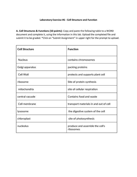 Lab Exercise Laboratory Exercise Cell Structure And Function A Cell Structures