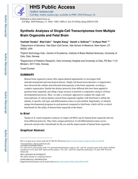 Pdf Synthetic Analyses Of Single Cell Transcriptomes From Multiple Brain Organoids And Fetal Brain