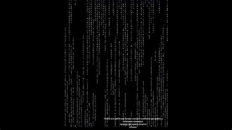 Commands Youtube