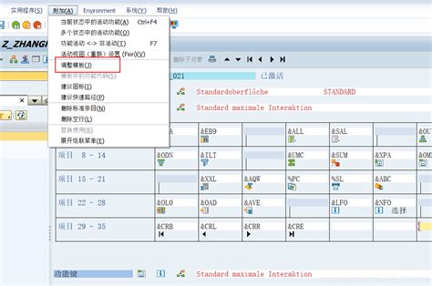 sap：复制gui标准状态栏 sap标准gui状态 csdn博客