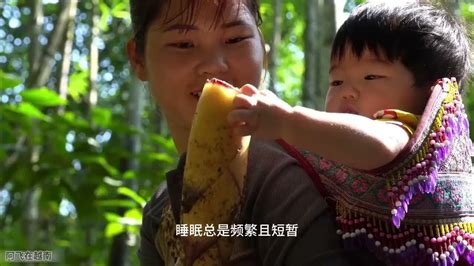 第170集，家里没个男人可真不行，阿玉母女吃住在竹林，只为了挖更多的春笋 Youtube