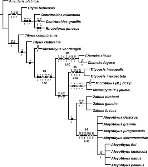 Strict Consensus Tree From Three Most Parsimonious Trees Length 71