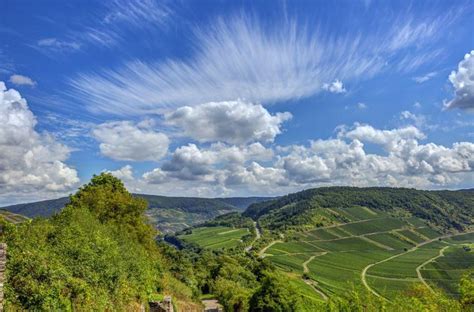 Understanding Cultural Encapsulation Definition And Examples Insight