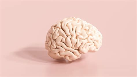 Navigating Sex With Adhd Sex Toys Blog Bboutique