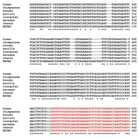 Multiple Sequence Alignment Of Pcr Products The Pcr Products Are