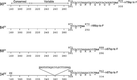 Amino Acid Variability Of Rsv B A Representative Sequence For Each