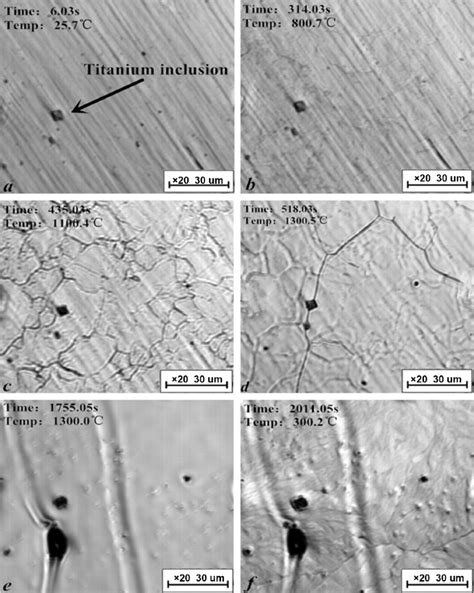 The Morphology Of Titanium Inclusion At Different Time And Temperature Download Scientific