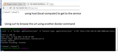 Docker Connecting Your Host To A Container