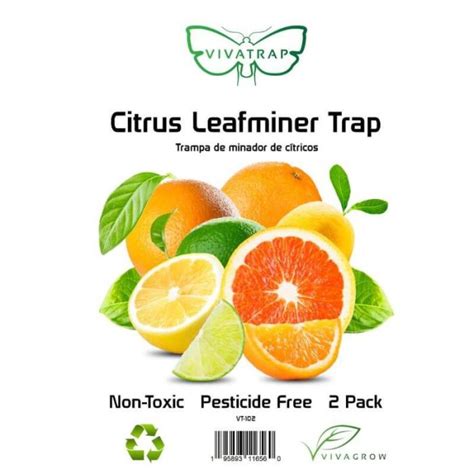 Citrus Leafminer Trap 2 Pack Evergreen Growers Supply Llc