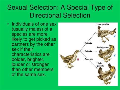 Ppt Evolution Powerpoint Presentation Free Download Id1819960