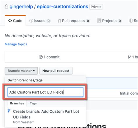 Source Control Epicor Customization W GitHub Visual GingerHelp