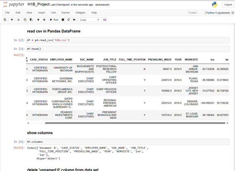 Niharika Kuchhal On Linkedin 📊 H1b Visa Analysis Highlights 🔎 Data