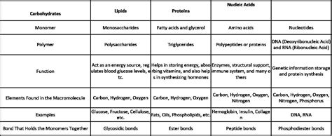 Complete The Chart Macromolecule Monomer Energy Source Carbohydrate Protein Lipid