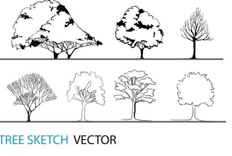 Tree Sketch Vector Architectural Resources Landscape Diagram