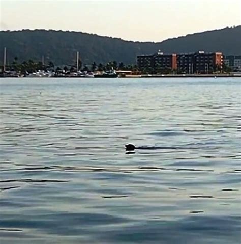 Sexta Feira 25 De Fevereiro Santos E Região G1