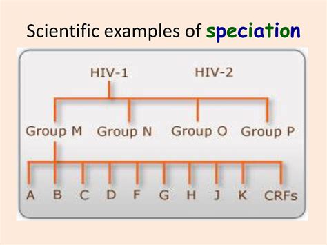 Unit 6 Evolution Chapters 22 23 24 25 Ppt Download
