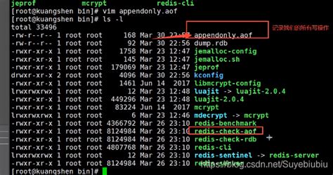 519 Nosql数据库 Redis（键值key Value） Redis持久化key Value Rdb Csdn博客