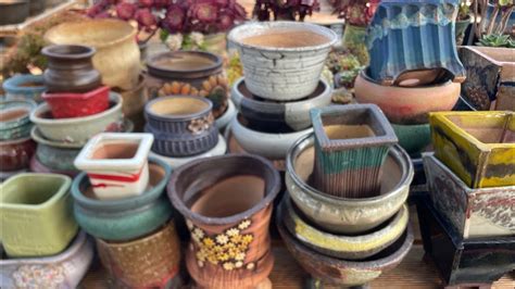 다육천하tv🎁특가특가💝 6월22일 실시간방송 ️ 예쁜다육 예쁜화분 다육 식물 코노 리톱스 화분 판매 실시간 Live 라이브방송 Youtube