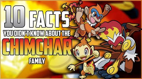 Chimchar Evolution Chart Chimchar Pokemon Planet Wikia Fandom
