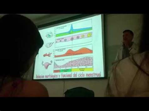 Histo Sex Fem YouTube