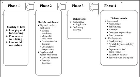Figure 1 From Application Of The Intervention Mapping Protocol To
