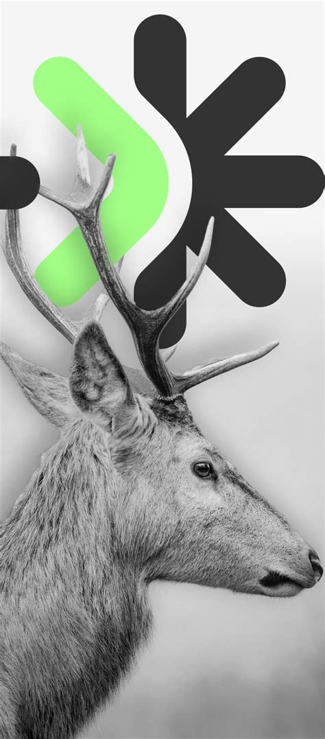 Cbam Declaration And Excel Output Carbonemit