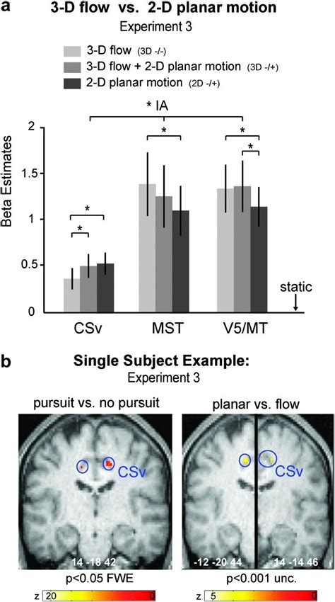 Double Dissociation Between Csv V5mt And Mst In Their Responses To Download Scientific