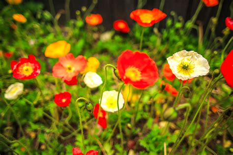 진욱 아주작은사진전시회 봄여름가을겨울 내게그해가장아름다웠던 우리나라숨은사계의비경 내마음에너를담아 개정판 출판기념 우리나라 숨은 사계의 비경 그해 내게 가장