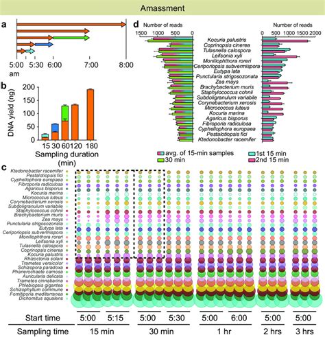 Sampling Duration Assessment A Illustration Of Different Time Based Download Scientific