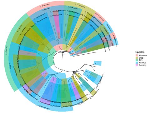 Ggdiffclade Issue · Issue 81 · Yulab Smumicrobiotaprocess · Github
