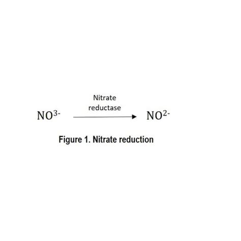 Nitrite Nitrate Determination Assay