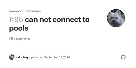 Can Not Connect To Pools Issue Nanopool Nanominer GitHub
