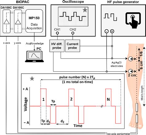 Figure From The Effects Of Interphase And Interpulse Delays And Pulse Widths On Induced Muscle