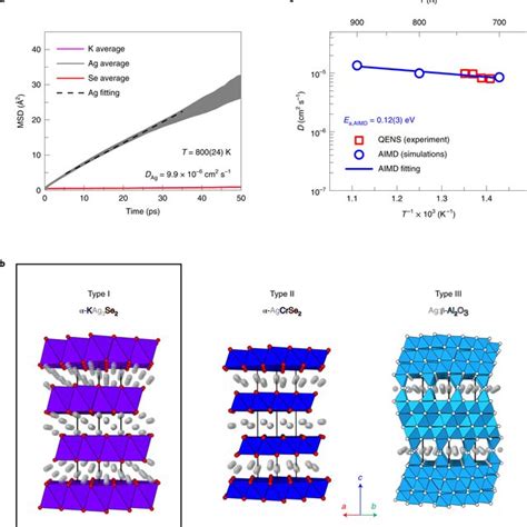 Molecular Dynamics Simulations And Structural Comparison A