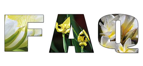 Image In Text Tutorial Header Kimberley Web Design