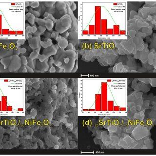 FE-SEM image of the porous structure (a) [scale 1 µm, electron high... | Download Scientific Diagram