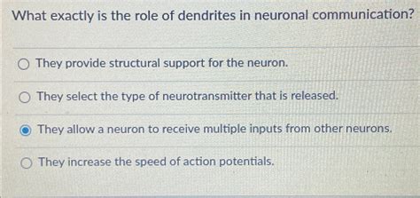 Solved What Exactly Is The Role Of Dendrites In Neuronal Chegg Com