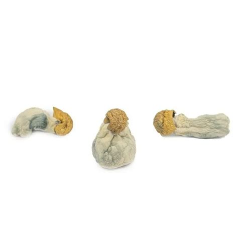 DC Mac Microdose Mushrooms USA