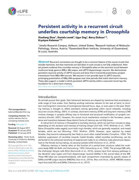 Pdf Persistent Activity In A Recurrent Circuit Underlies Courtship Memory In Drosophila