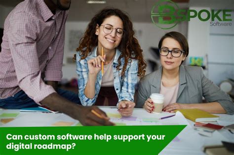 bspoke software on linkedin customsoftware digitalroadmap