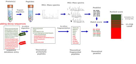 Slides Introduction To Proteomics Protein Identification