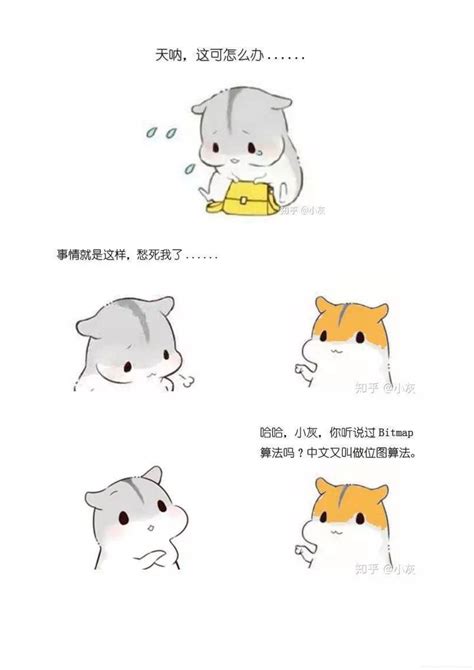 2019面试题：bitmap算法（一）bitmap Qiandebu Csdn博客