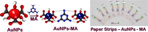 Nano Enabled Plasmonic Strips For Colorimetric Detection Of Food