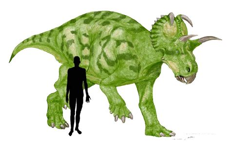 Albertaceratops Pictures And Facts The Dinosaur Database