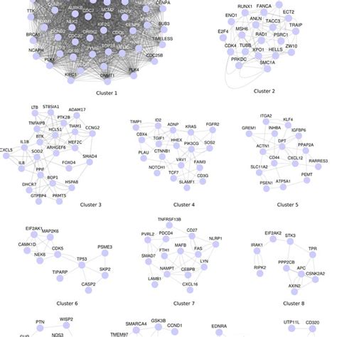 Networks Clustering Nodes Represent Genes That Are Connected By Download Scientific Diagram