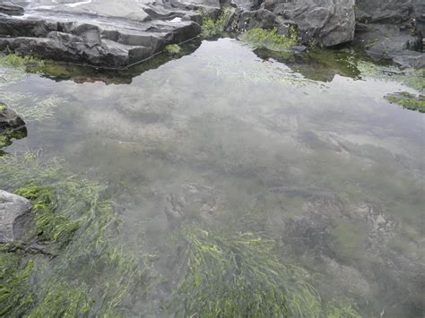 Tidal Chart Hampton Nh Educational Chart Resources