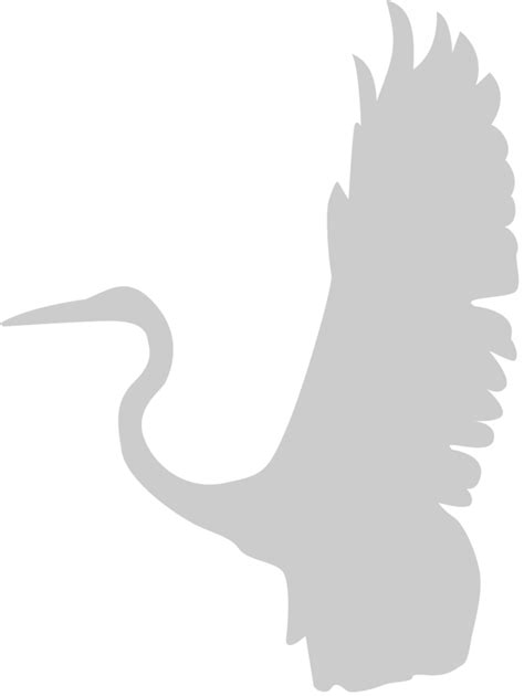 Bird 36629533 Vector Art At Vecteezy