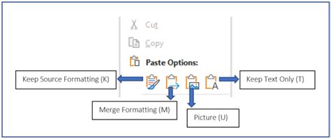 Paste Options Right Click Solutions