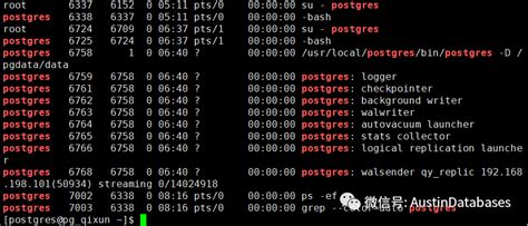 POSTGRESQL 建立主从节点全流程 与 要不要强一致的问题 墨天轮