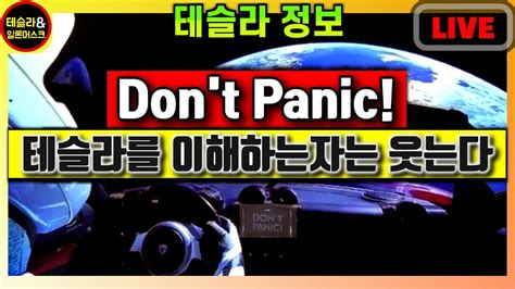 테슬라 큰 폭의 하락은 장기투자자에게는 축복입니다 Youtube